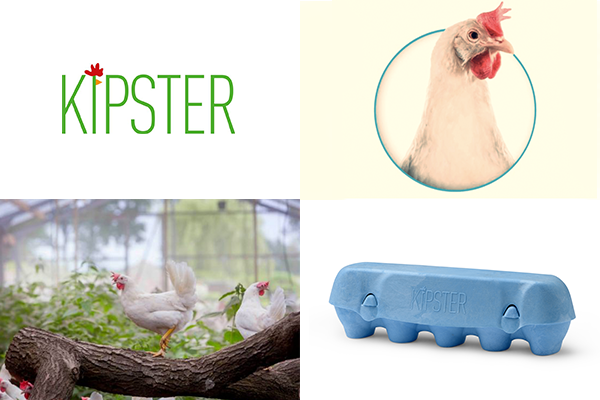 Kipster - future-proof poultry farm - Paperfoam