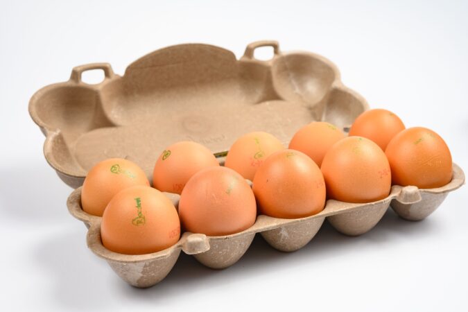 Ciruclar packaging for Rondeel eggs - Paperfoam